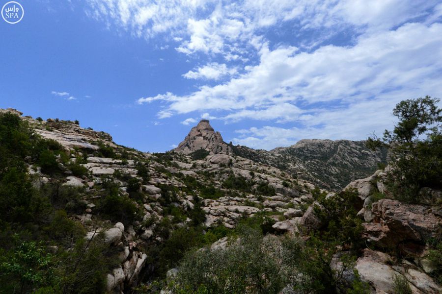 Tanumah’s Heritage Village tells story of Asir’s ancestors