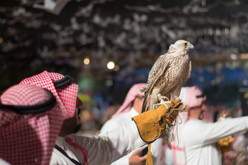 Jazan Falconry Competition: Where fun and thrill meet