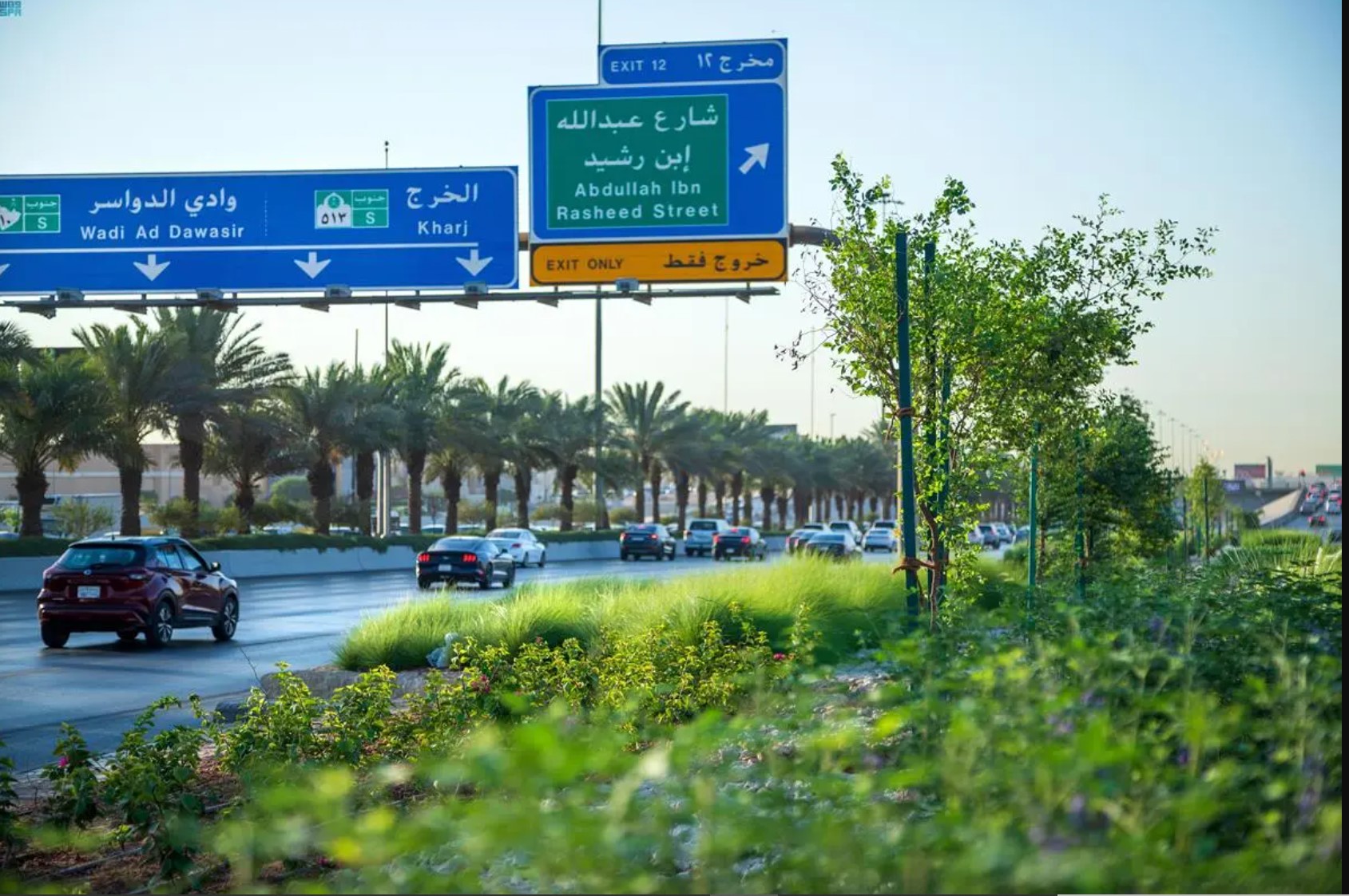 Saudi Green Initiative Day celebrated on March 27