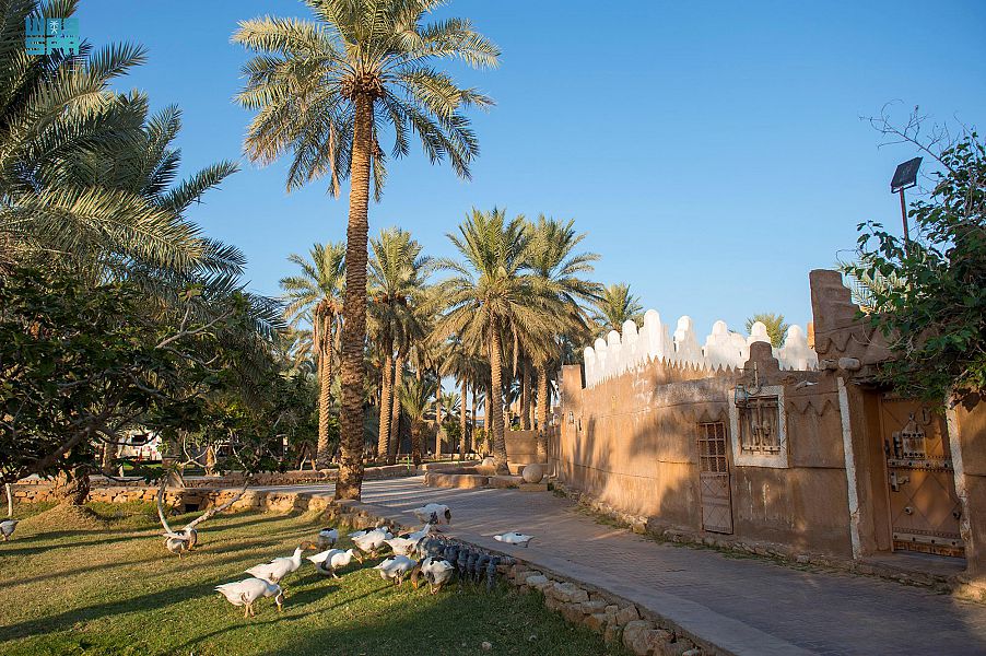 The rural farms of Al-Qassim: Popular tourism destinations